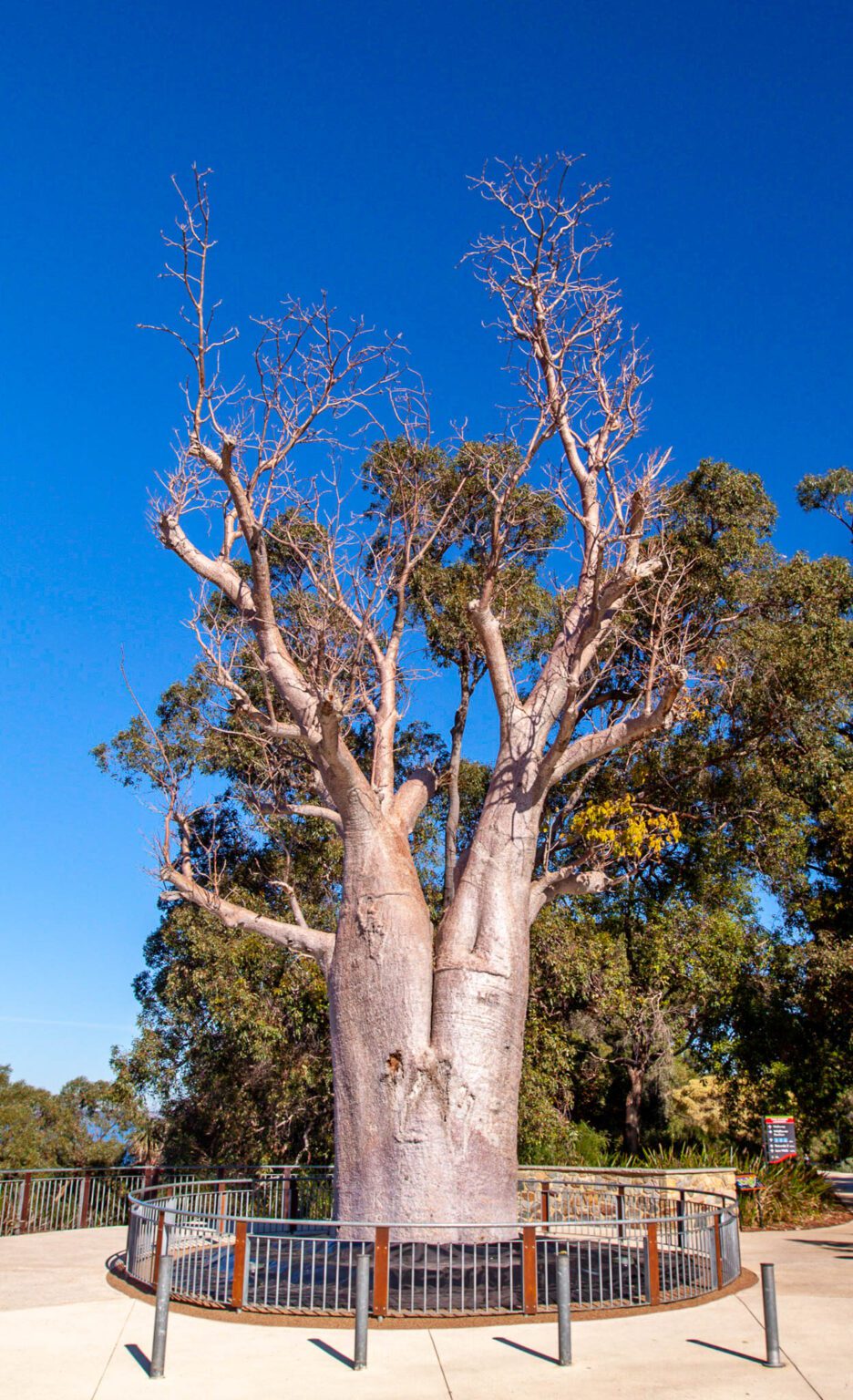 Three Days In Perth Itinerary | Still As Life